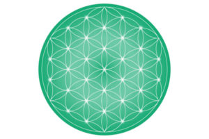 Flower Of Life: What You Must Know To Support Genuine Spiritual Growth