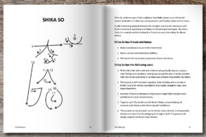 The Ultimate Reiki Symbols Guide - ReikiScoop